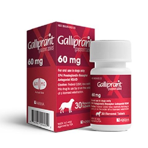 Galliprant (grapiprant tablets) Flavored Tablets for Dogs, 30 Count ...